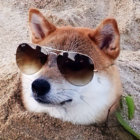 beets 3 | Birocratic