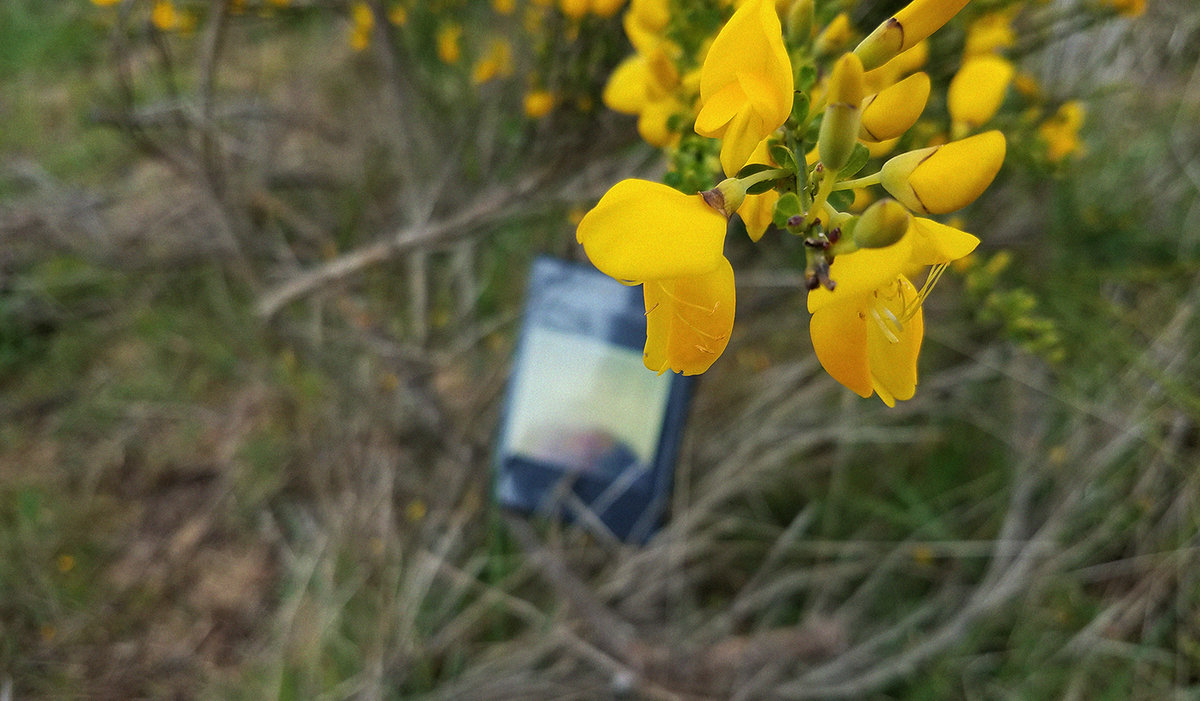 Mitrealität | Jute Gyte