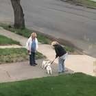 FREE LUTANGU | Bonaventure | PTP