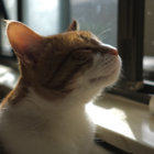 A WARM WEATHER GHOST | Tunde Adebimpe