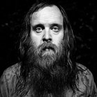 AVTT/PTTN | AVTT/PTTN (The Avett Brothers & Mike Patton) | Mike Patton