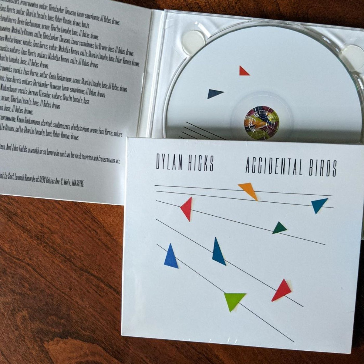 Accidental Birds | Dylan Hicks