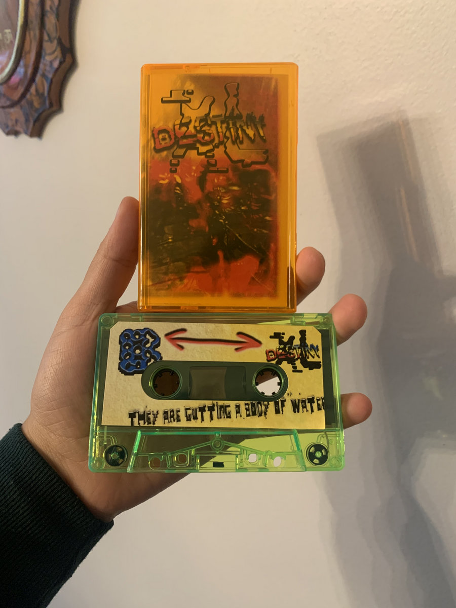 Destiny XL | they are gutting a body of water | Citrus City Records