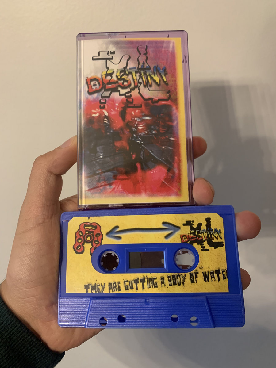 Destiny XL | they are gutting a body of water | Citrus City Records