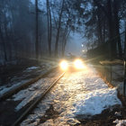 Flower Maiden | Dzivia