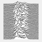 Monocyte: The Lapis Coil | Saltillo