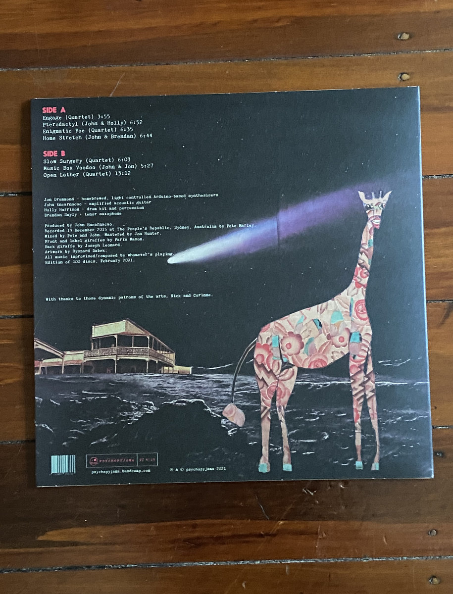 Giraffe Quartet and Duets | John Encarnacao | psychopyjama