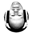 Finding Shore | Tom Rogerson with Brian Eno | Tom Rogerson