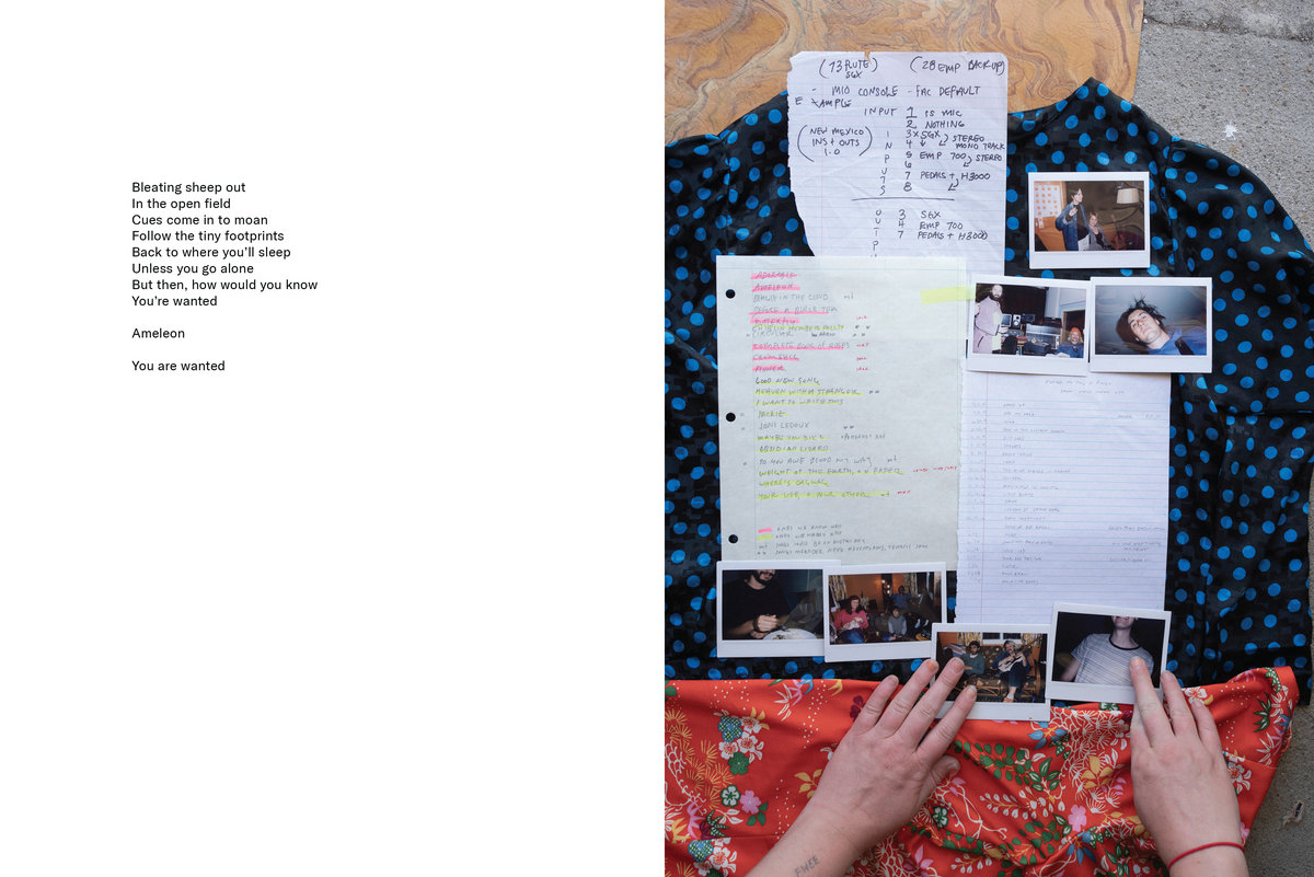 Photo and Song Book (PoB-067) | Mega Bog