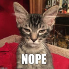 Fearsick | Inhuman Condition