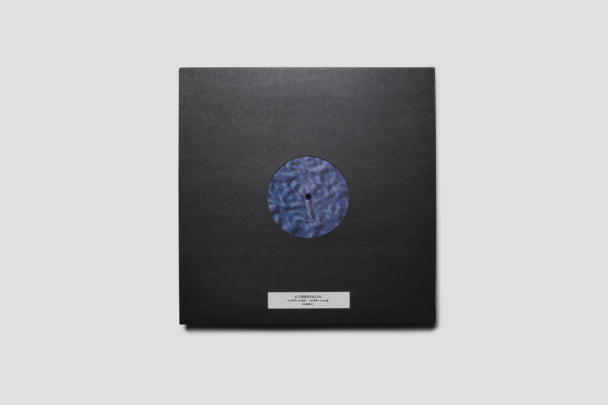 A Kind Robin / Latent Space | Jack Chrysalis