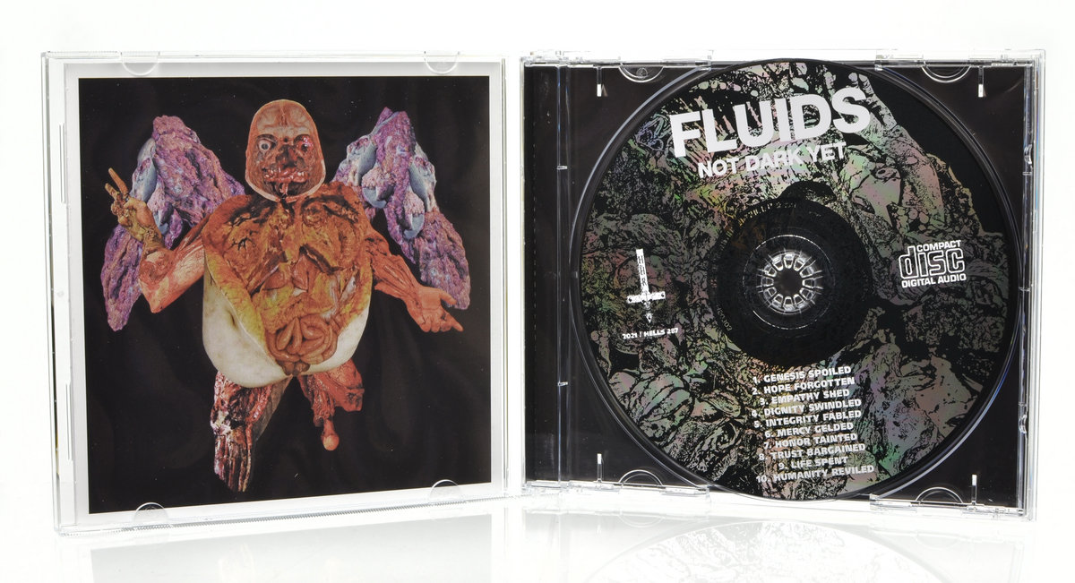 Not Dark Yet | FLUIDS