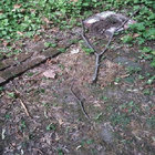 Beyond the Wall of Desolation | High Command