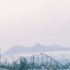 VIP COLLECTION | LOBSTA B