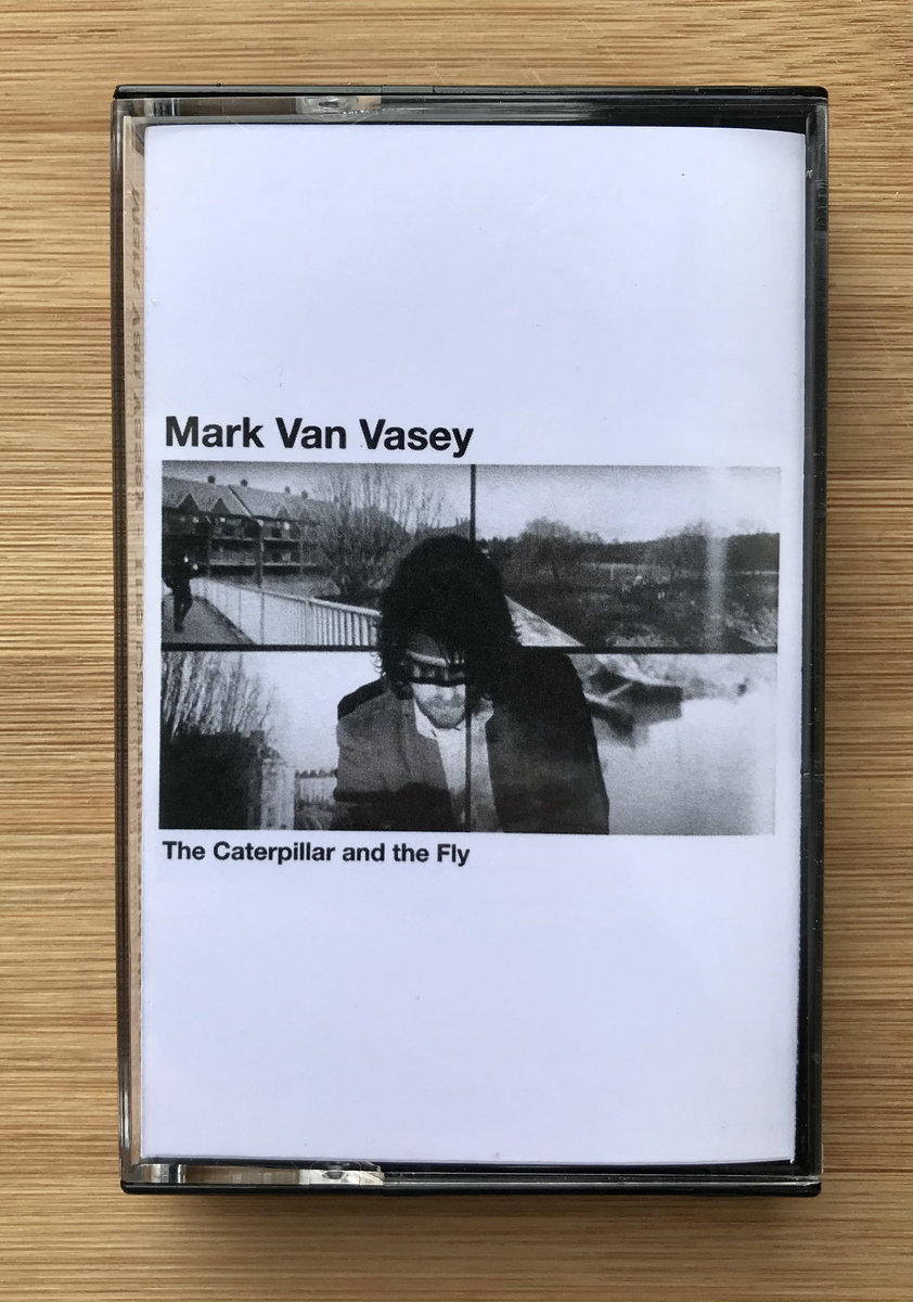 The Caterpillar and the Fly | Mark Van Vasey