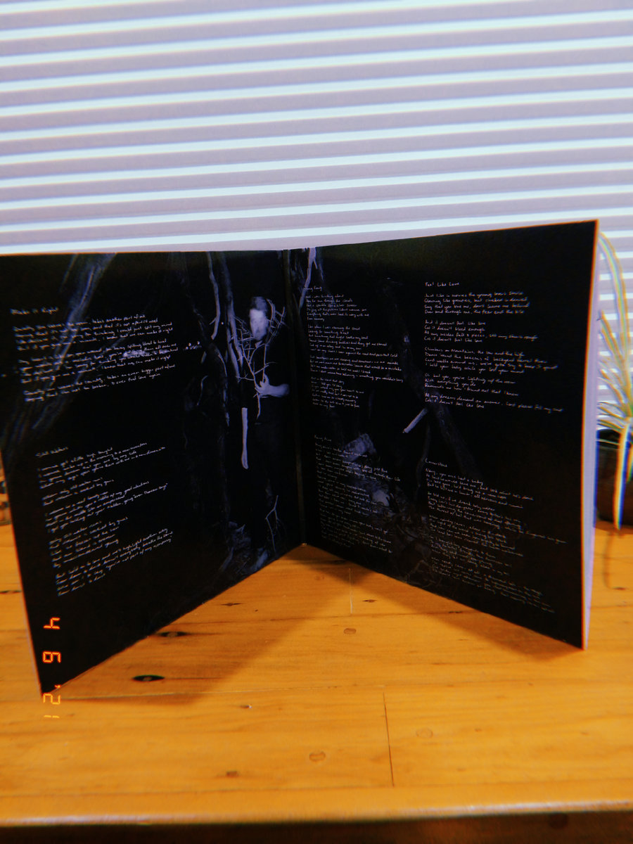 Lost Limbs | The Burley Griffin