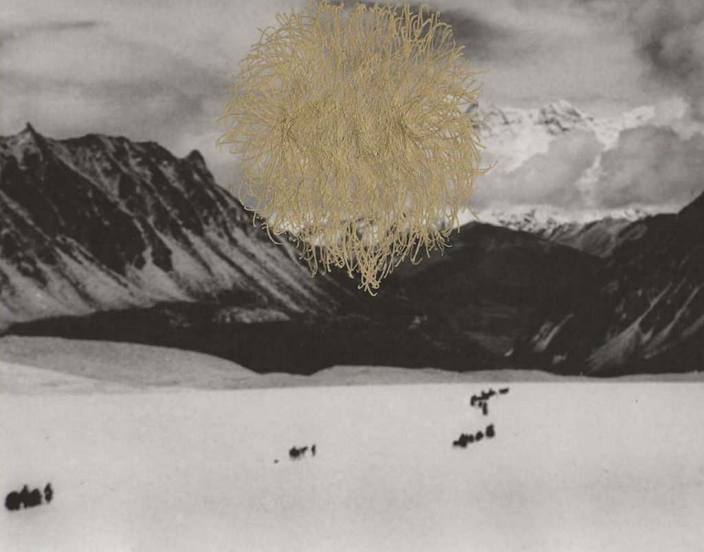 The Best Experimental Music on Bandcamp: July 2021 | Bandcamp Daily