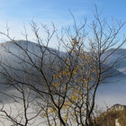 PROPHET ILJA | Patriarkh