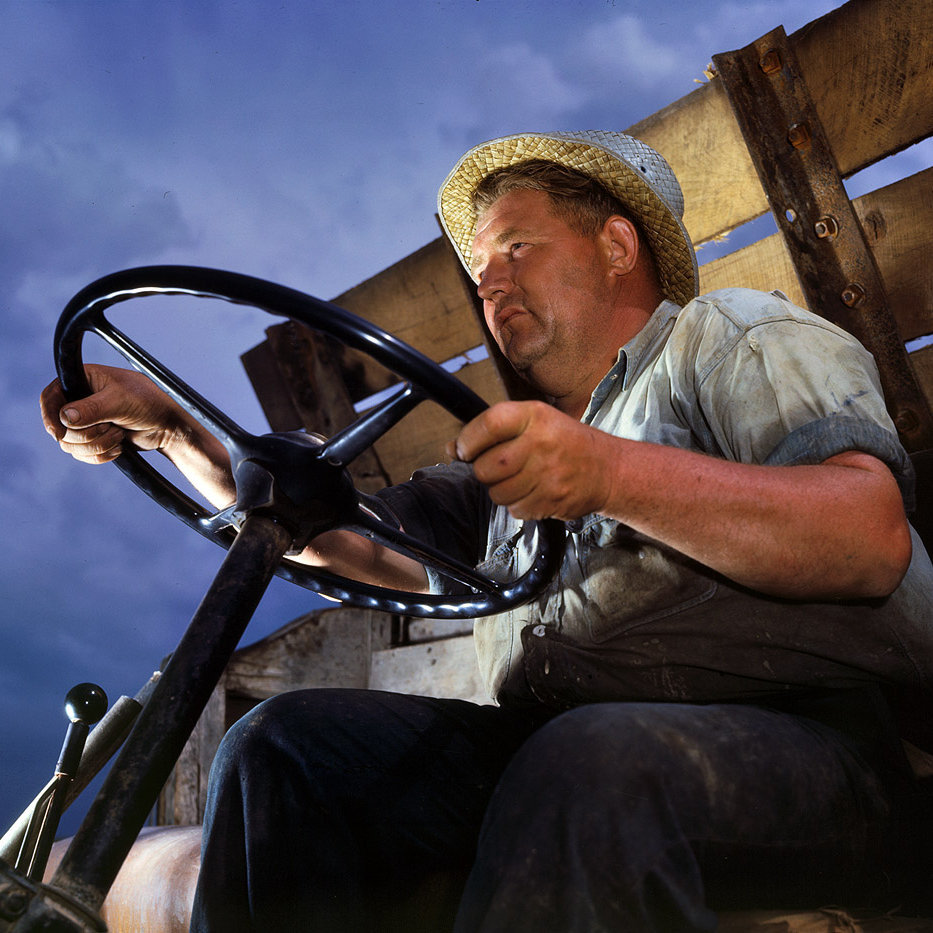 harrylisa's collection | Bandcamp