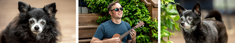 Cheese Tax | Puppy Songs