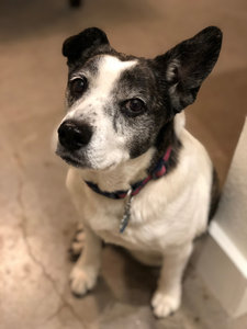 Music | Nicolette Good