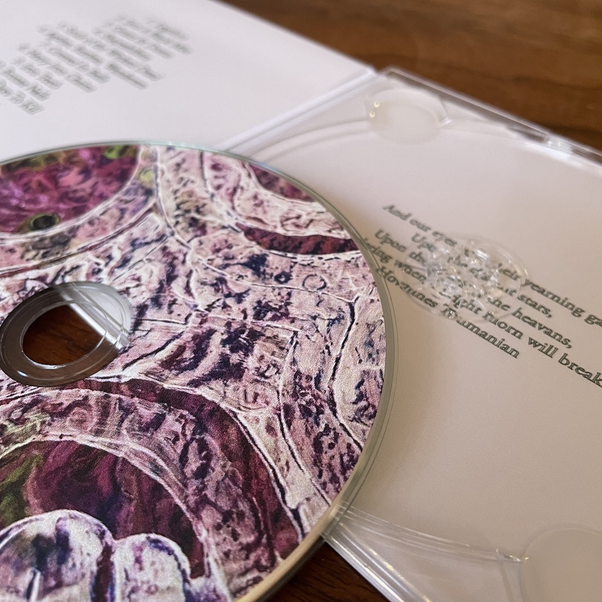 The Flower of Paradise | Chris Moore & Adam Shead