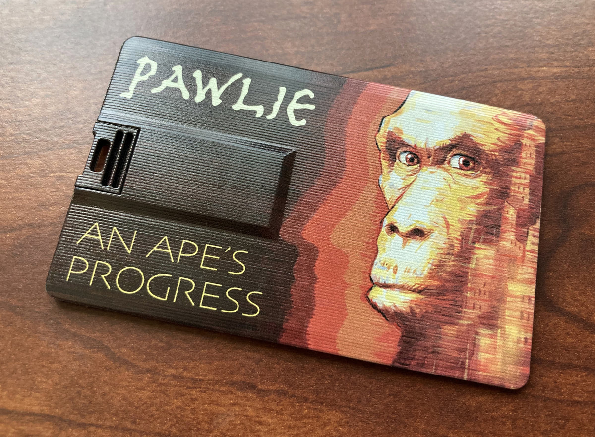 USB Music Card | Pawlie