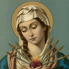 Forgotten Paths | SAOR | Avantgarde Music