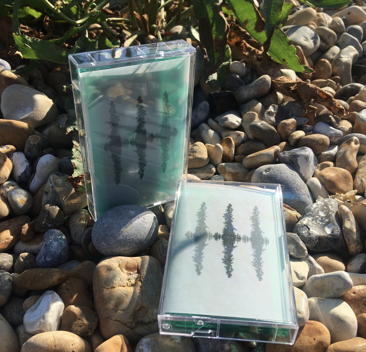 Flyalarm | Mark Dicker | Brachliegen Tapes