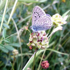 Some Heavy Ocean | Emma Ruth Rundle