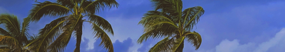 Music | Wavy Jones /Locker//