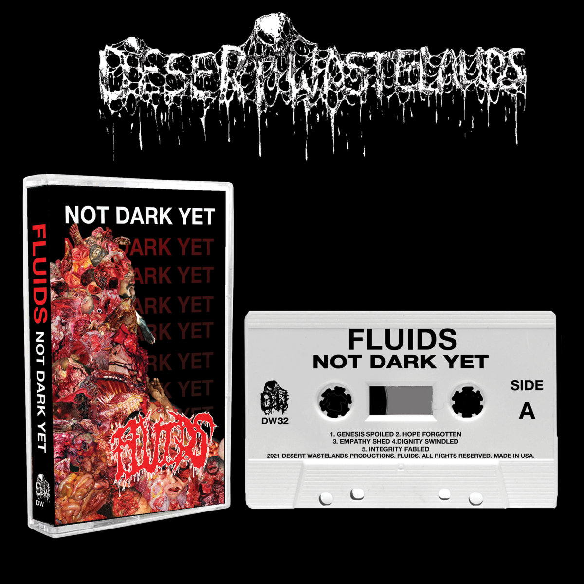 Not Dark Yet | FLUIDS