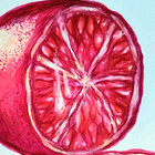 The Court Jester (feat. Fukase) | thquib