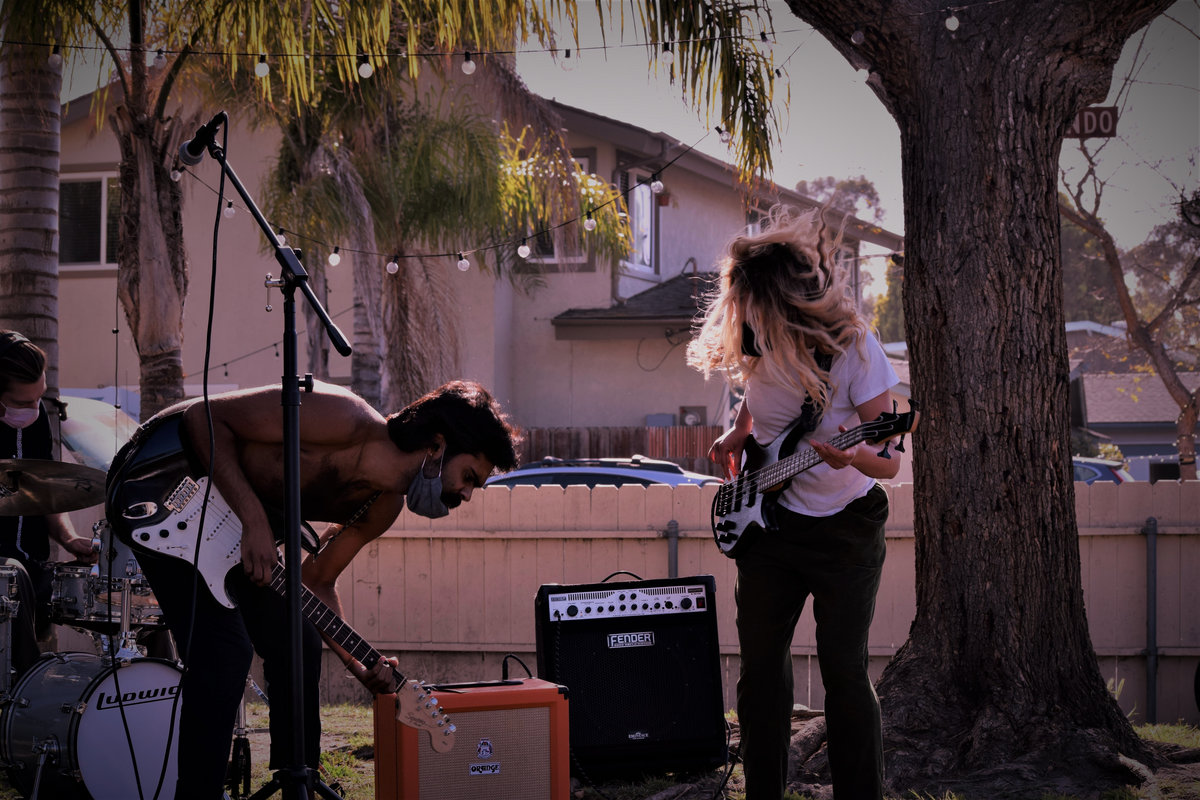 Aqua Stallion | Aqua Stallion