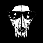 Despotic Rule | INNUMERABLE FORMS | Innumerable Forms