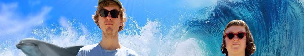 Music | Dolphin Hyperspace