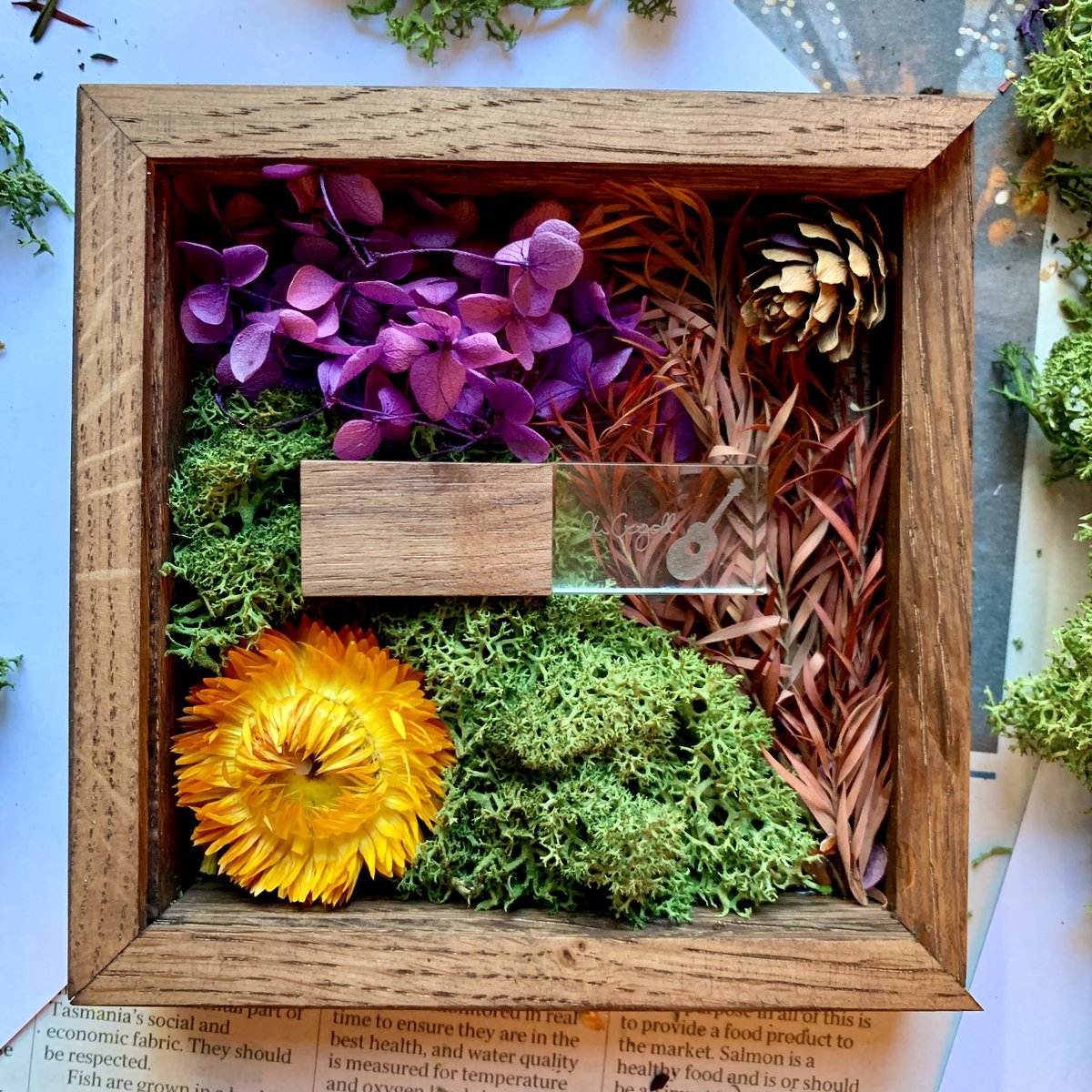 Limited Edition USB Drive with box | Alan Gogoll