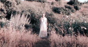 Music | Violet Violet