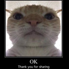 Rain World - Songs and Rhythms | James Primate