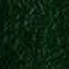 GRIEVING BIRTH | Internal Rot