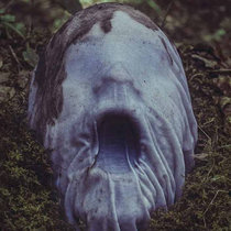 plastiq_surgery_disaster's collection | Bandcamp