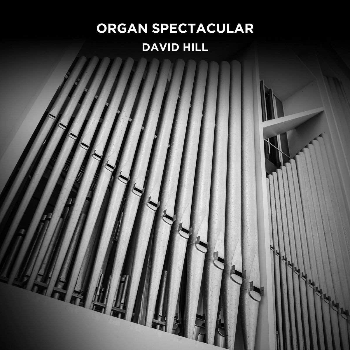 Organ Spectacular | David Hill