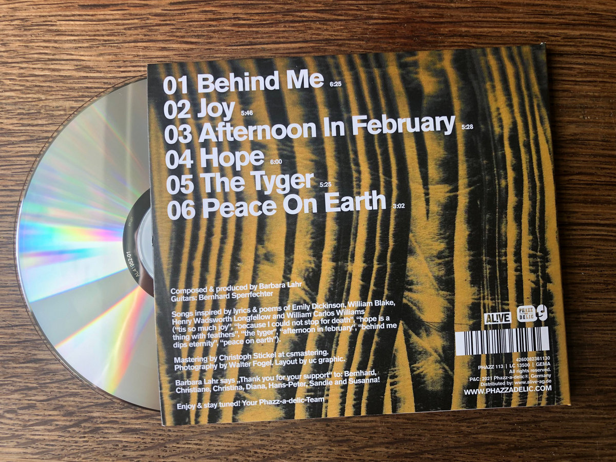 Kintsugi | Barbara Lahr | Phazz-a-delic