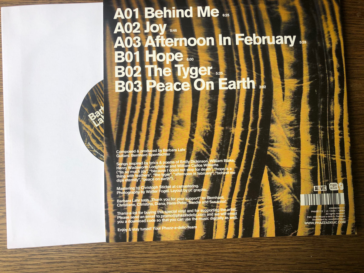 Kintsugi | Barbara Lahr | Phazz-a-delic