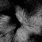 WEIRD NXC® - ACT 4 | weird nxc®