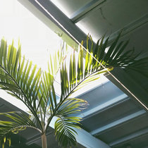 moreeder's collection | Bandcamp