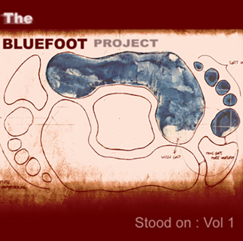 Observations EP | The Bluefoot Project
