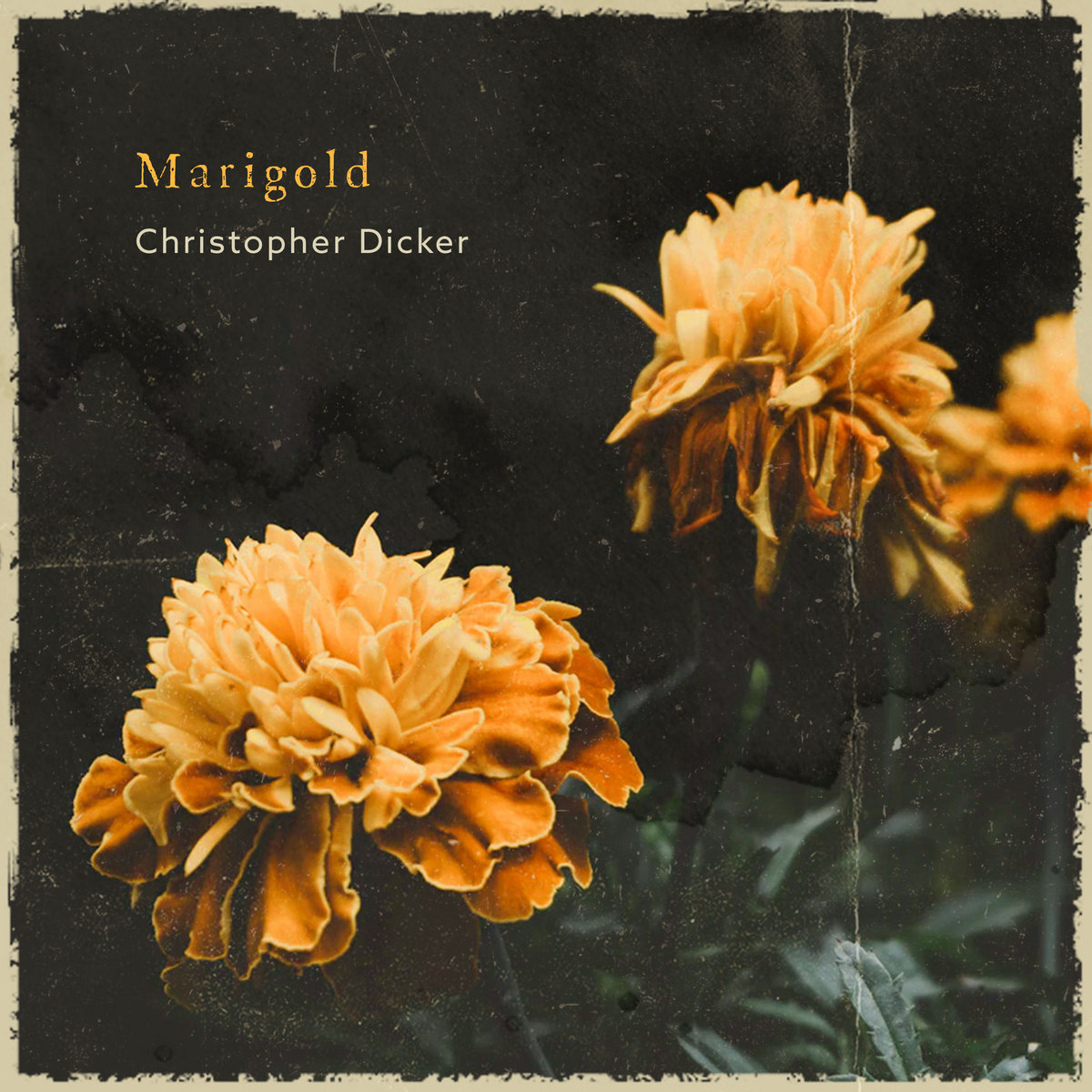 Marigold - Sheet Music | Christopher Dicker