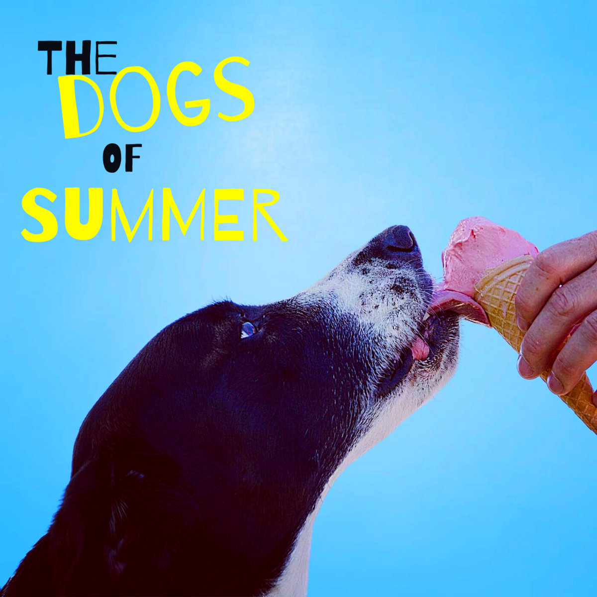 The Dogs of Summer | Dogs of Summer