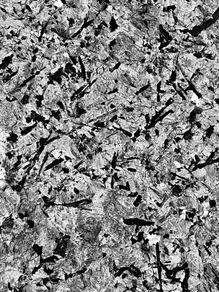 Step Out of Time PYRROLINE Remixes | The Burning Crow